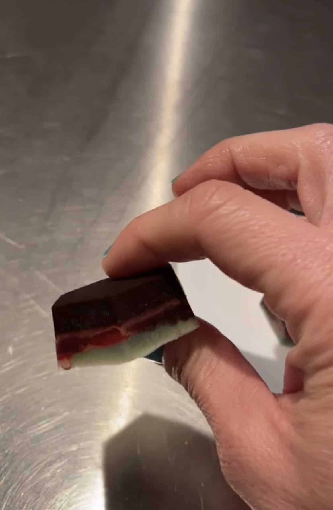 4 Ingredient Chocolate Truffles For Dogs! | Best Friends Kitchen